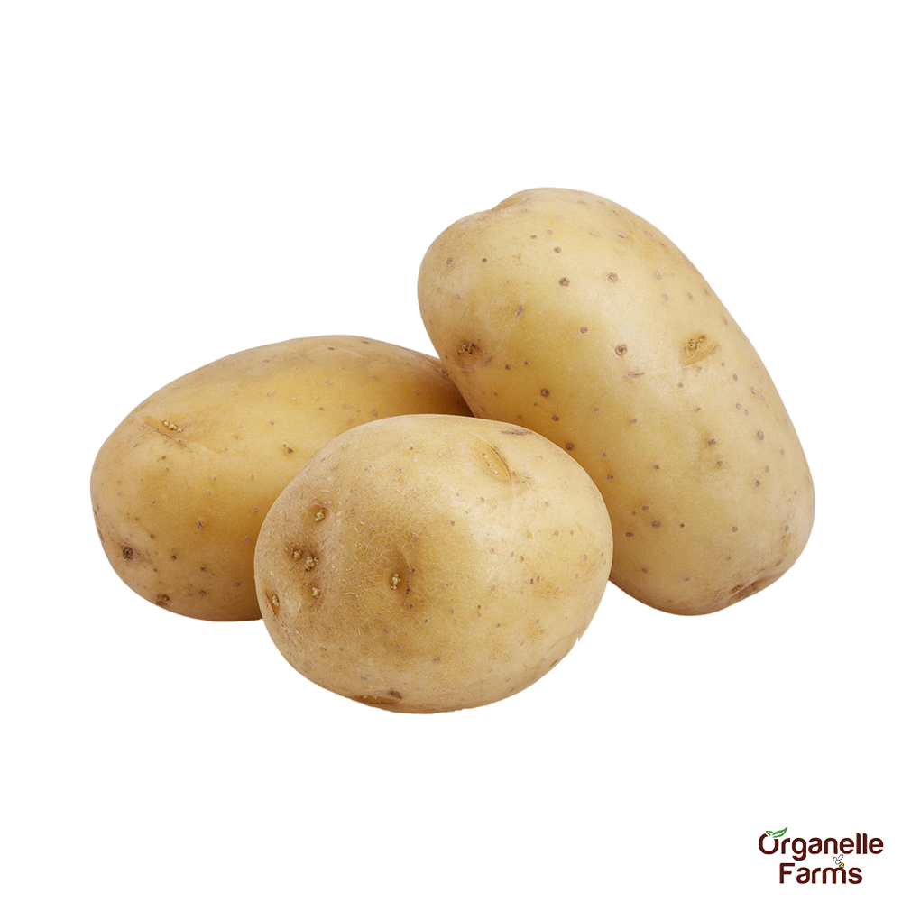Potato - 1 Kg | Organelle Farms