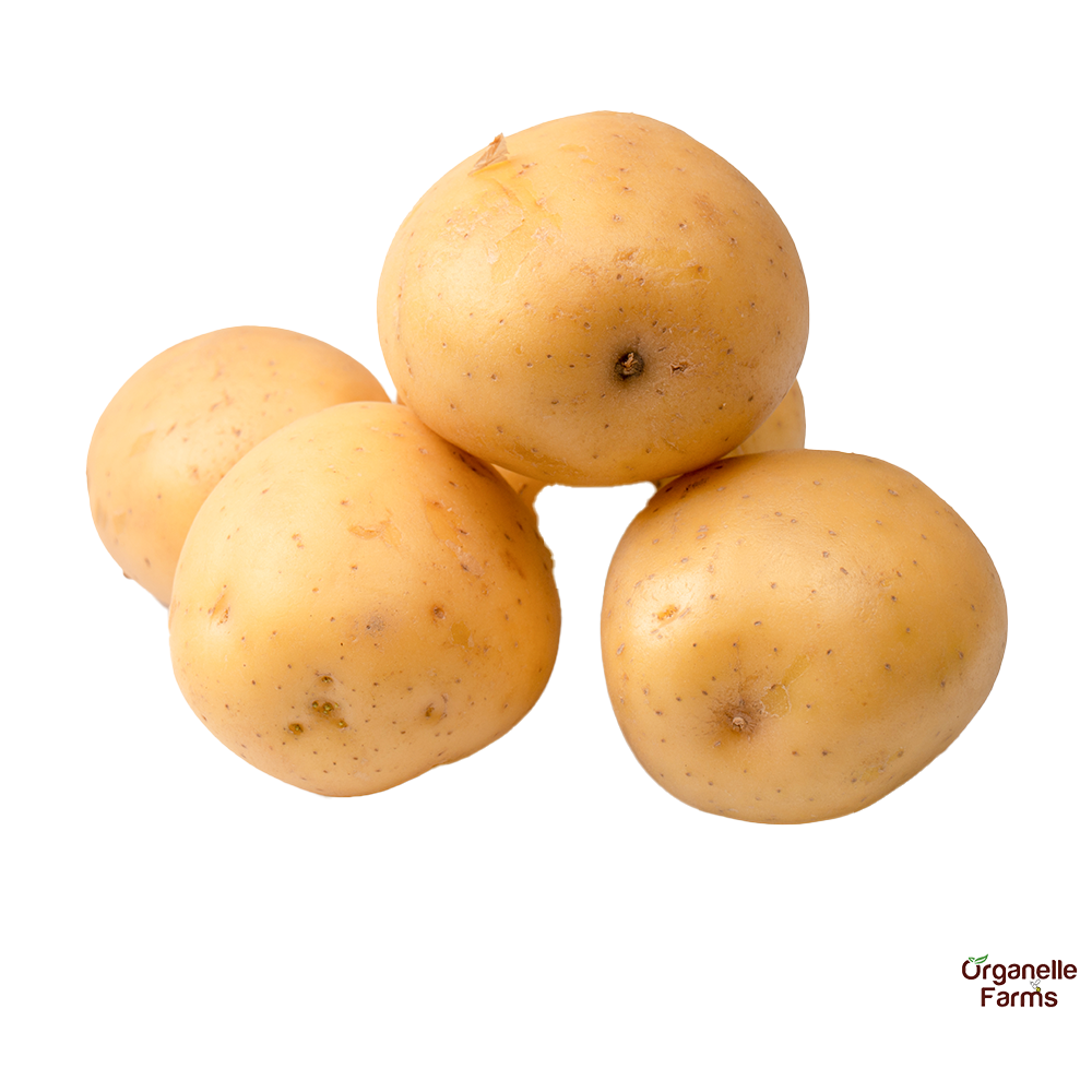 Baby Potato-1Kg | Organelle Farms