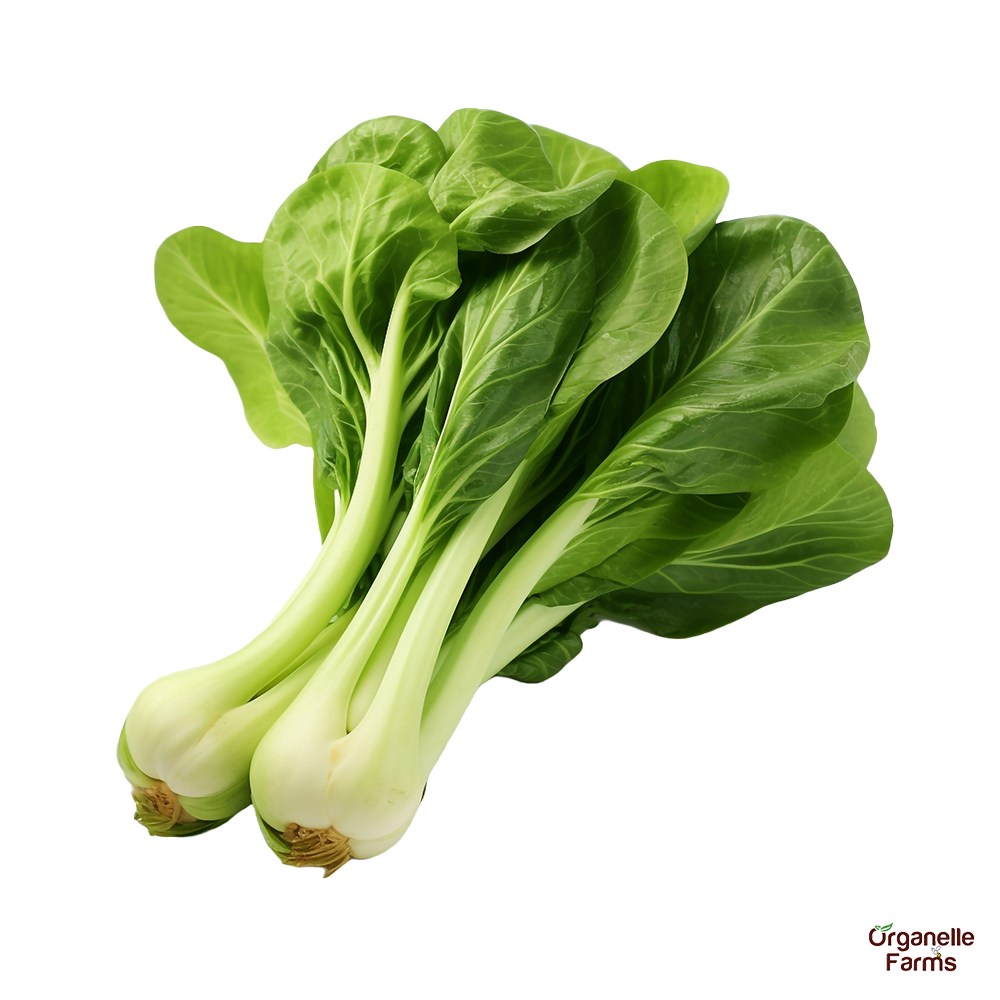Bok choy(Pok Choy) 200 Gms | Organelle Farms