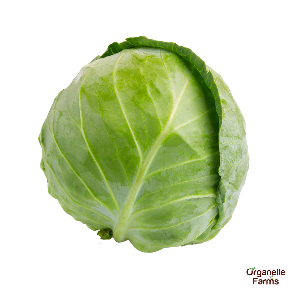 Cabbage-1pc(1kg-approx) | Organelle Farms